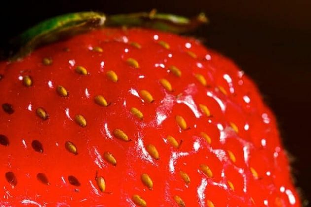 Strawberries Found to Knock Down Breast Cancer in Mice
